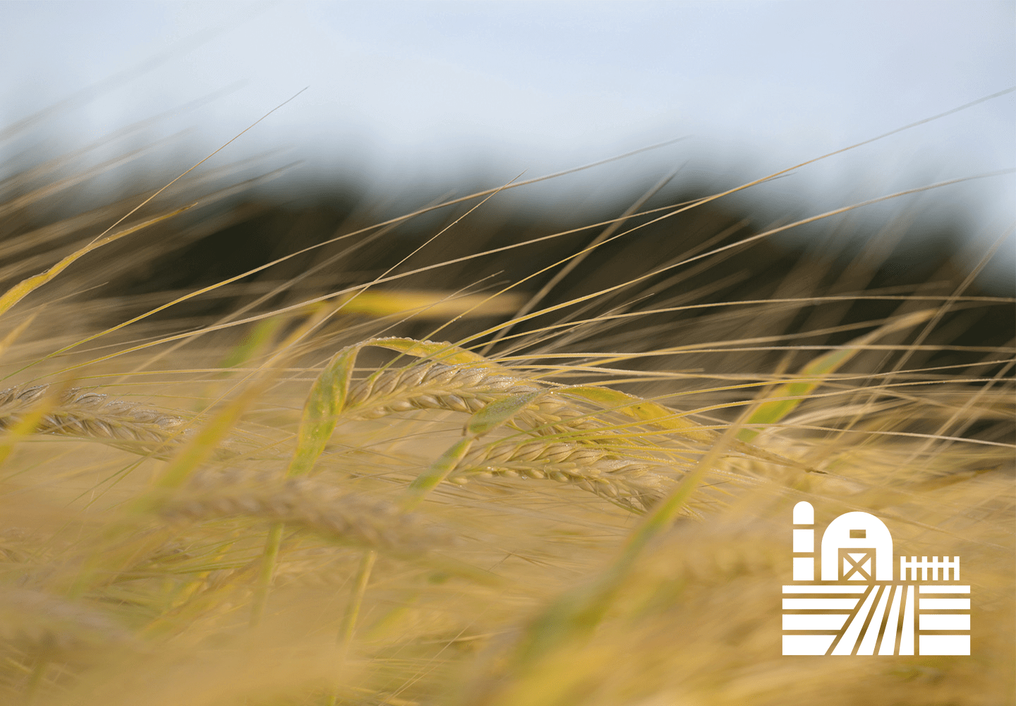 Cavendish Agri Services: crop protectants, fertilizer, seed, farm ...